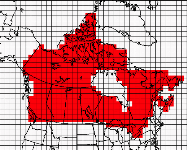 Information - Seasonal Forecasts